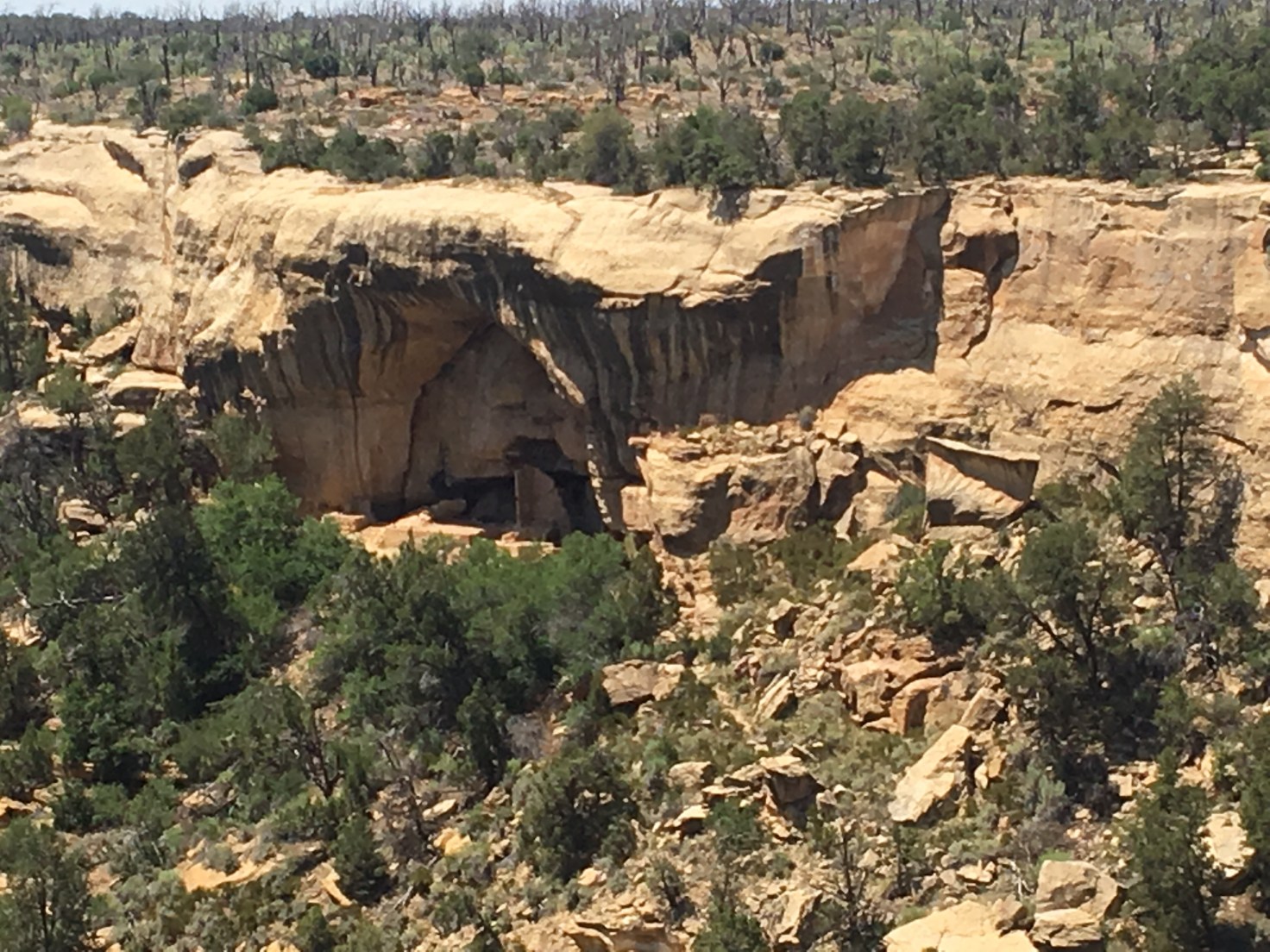 Ladders to the Past: Exploring Mesa Verde National Park – Love and Dirt