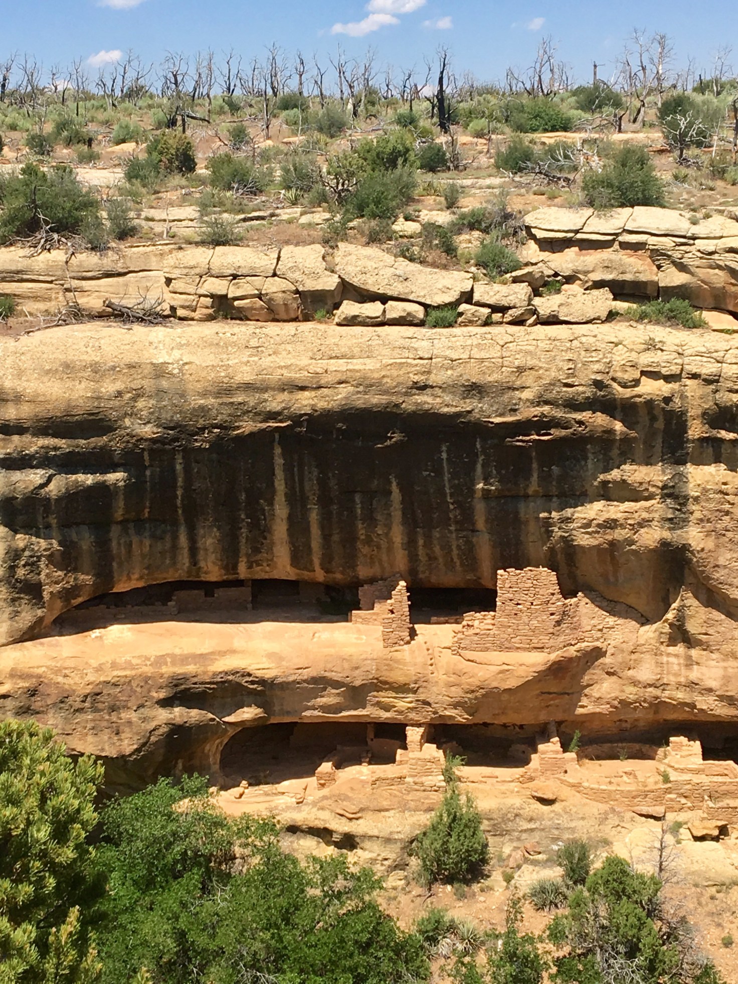 Ladders to the Past: Exploring Mesa Verde National Park – Love and Dirt